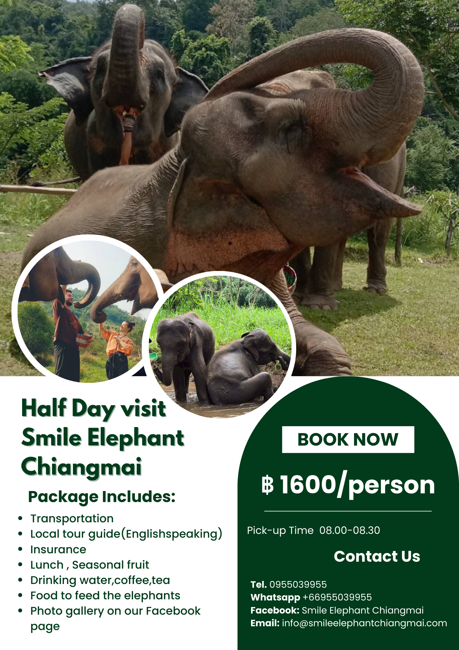 Half Day Visit Smile Elephant Chiangmai | Smile Elephant Chiangmai