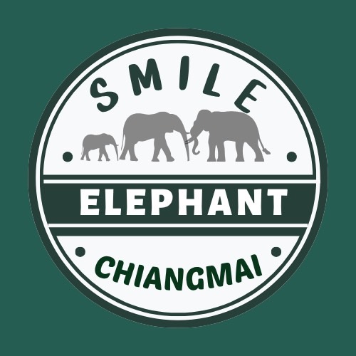 Smile Elephant Chiangmai
