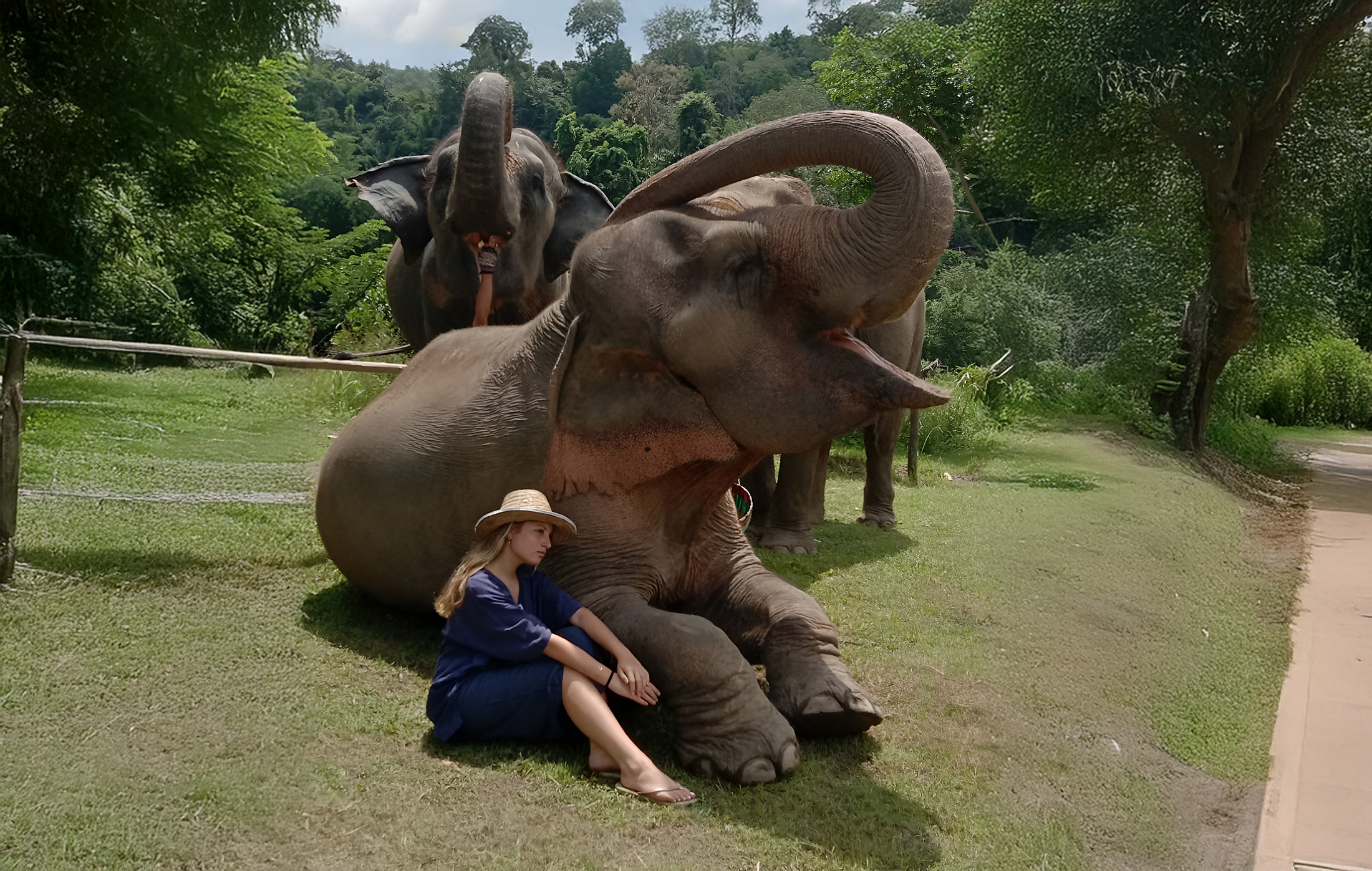 Smile Elephant Chiangmai