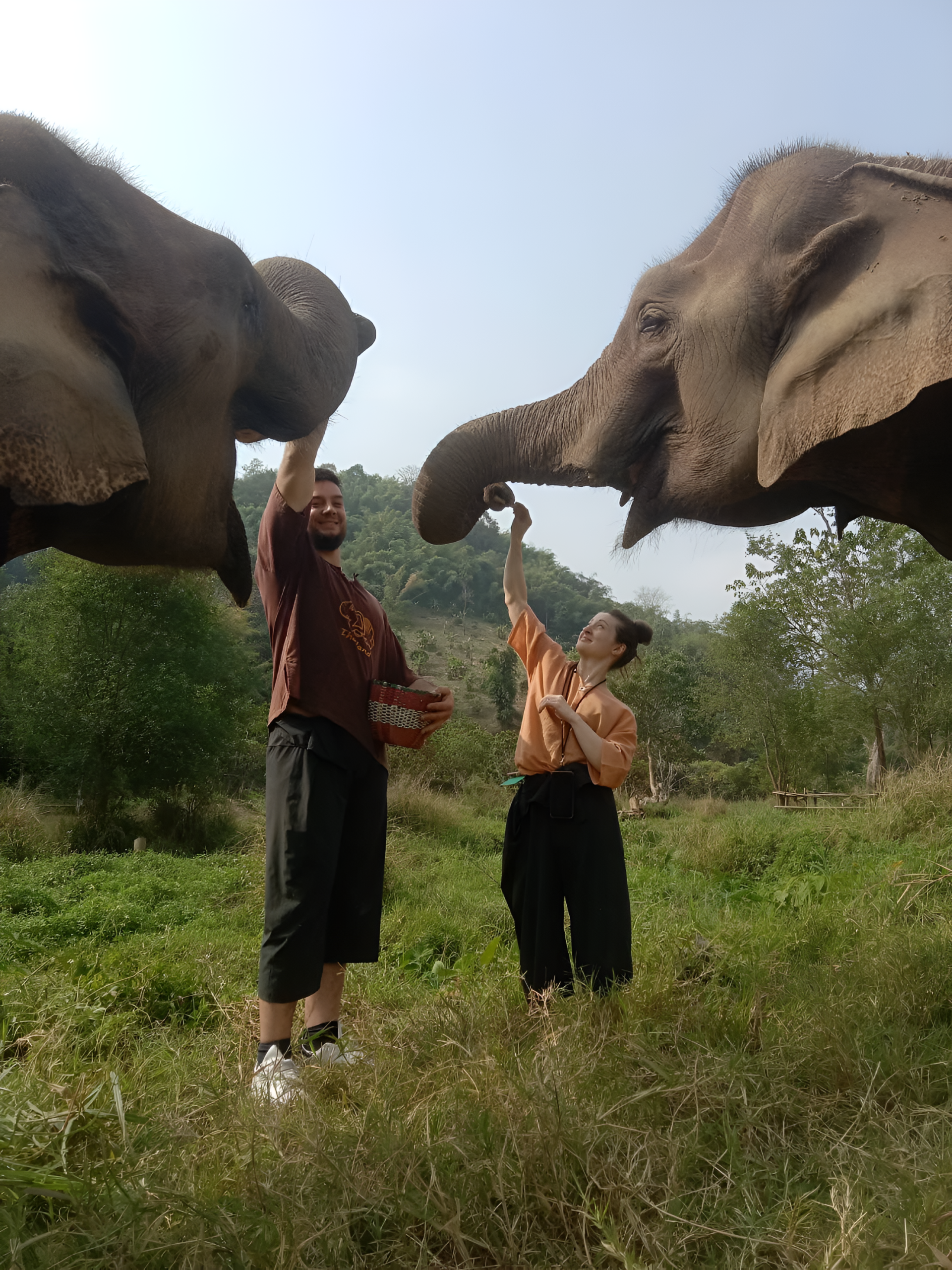Smile Elephant Chiangmai